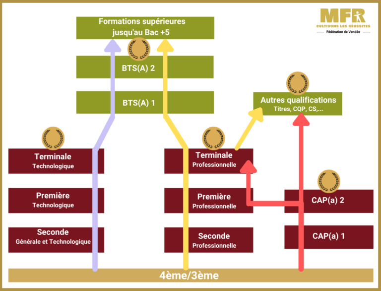 Formations Post-Bac et supérieures en alternance